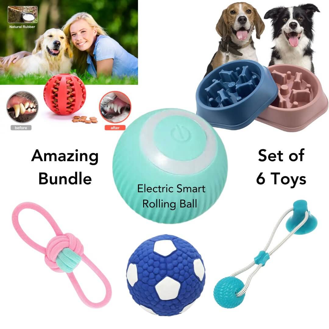 Stylish Dog Gear Bundles & Variety Packs for Your Pup – Infinity Dog