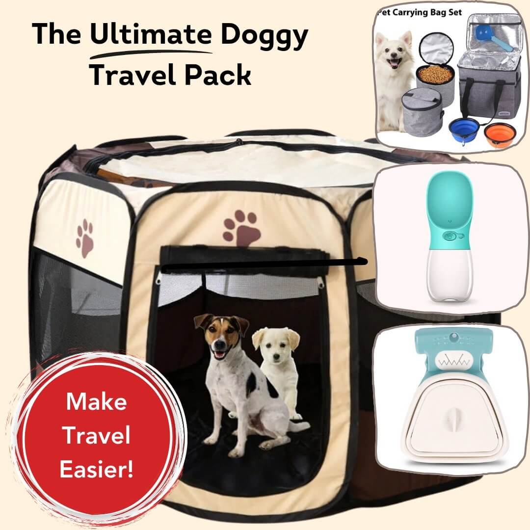 Pawsome Dog Travel Accessories for Your Pup – Cool Gear Pro
